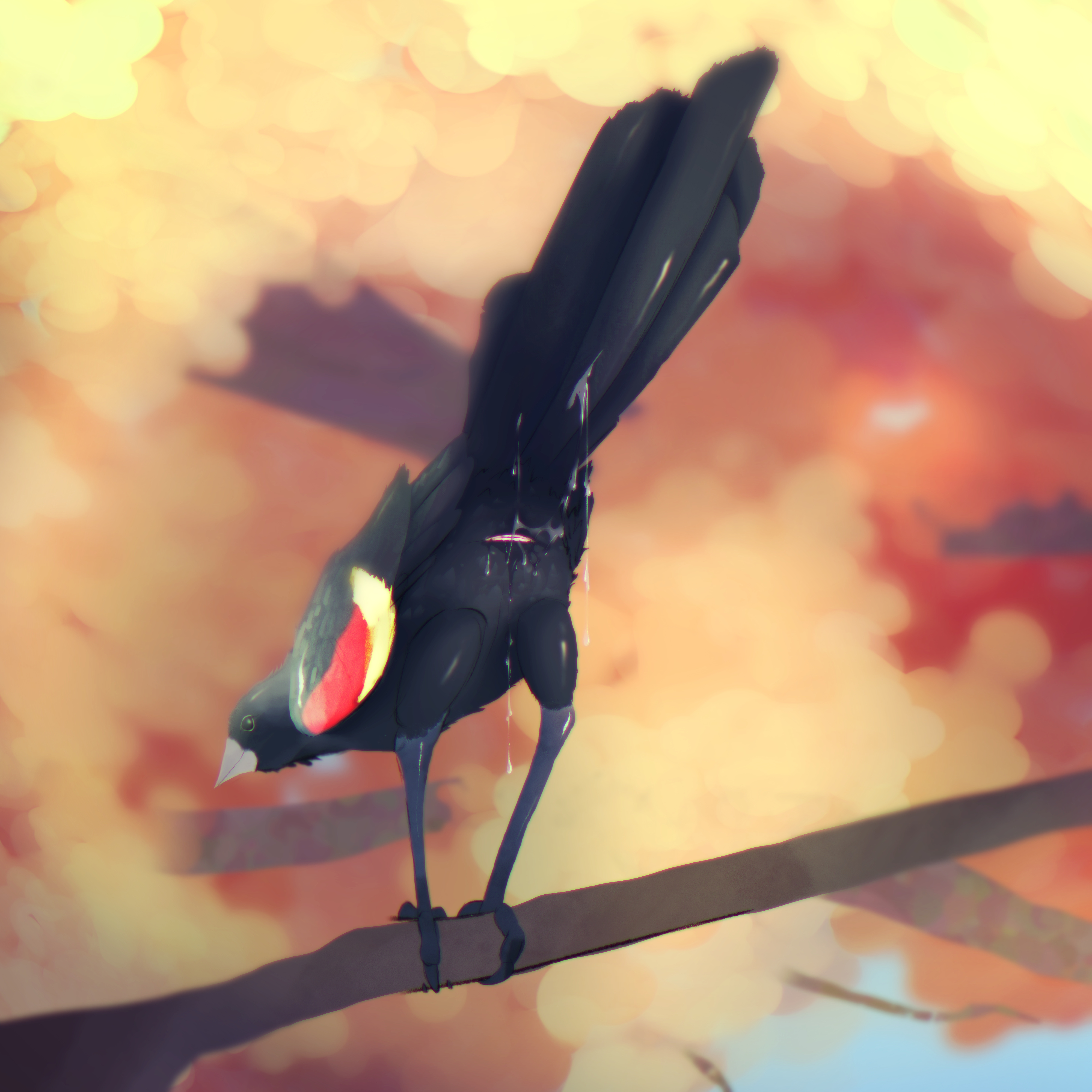 Rule 34 - absurd res ambiguous gender anatomically correct anatomically correct cloaca ...